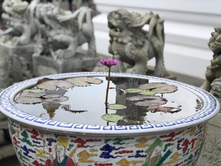 Water Features - WATER + PLANTS LAB PTE LTD